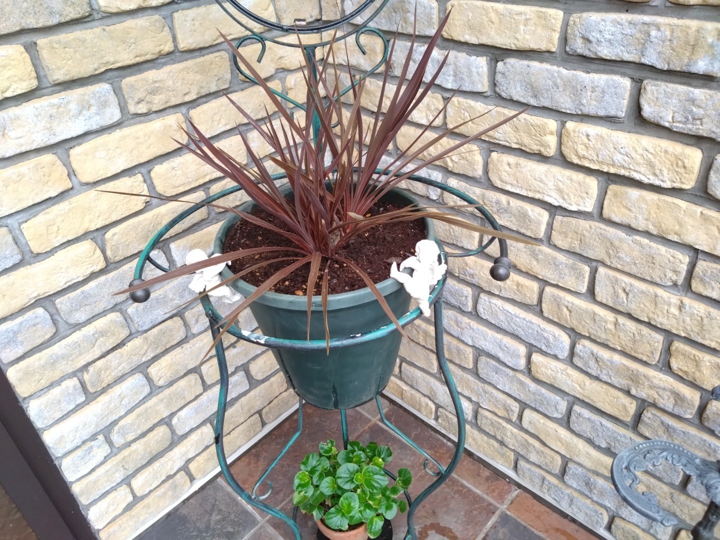 2024年オープンガーデンの初日を終えて: 那須マミーの花日記